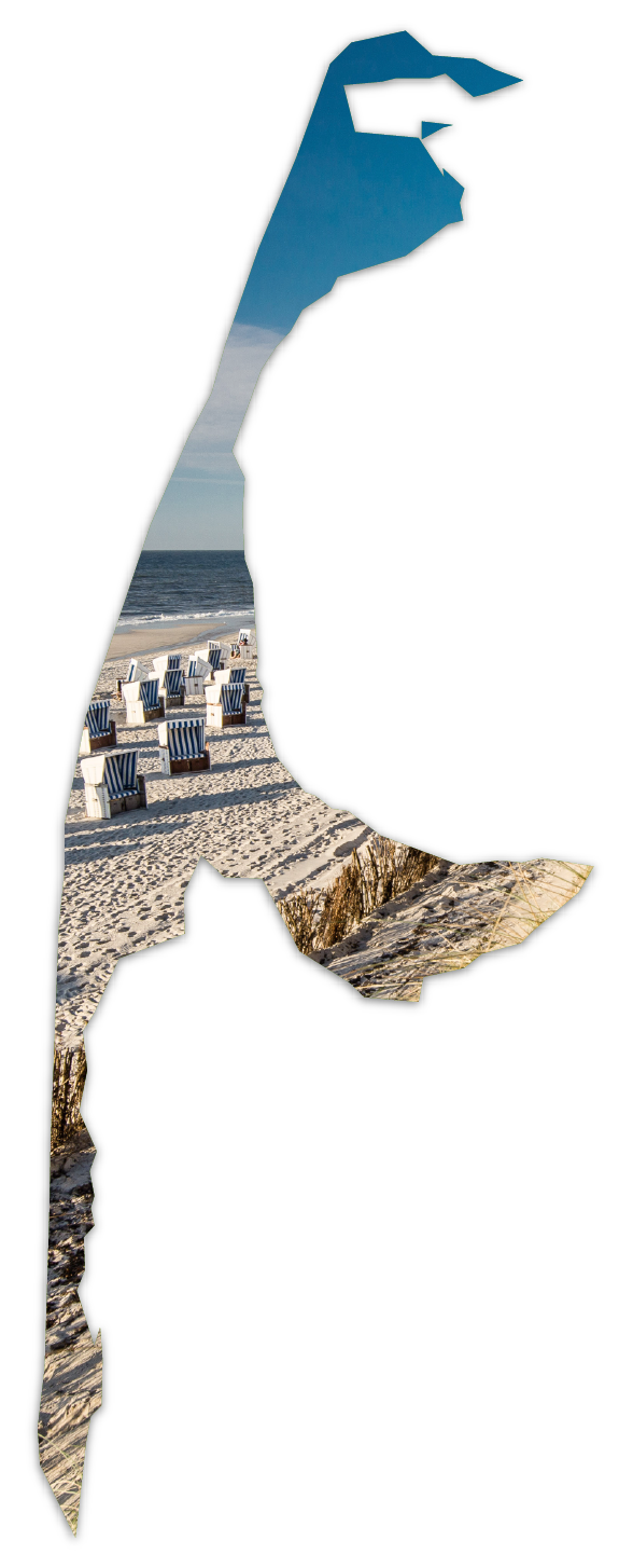 sylt - travelable.info : travelable.info